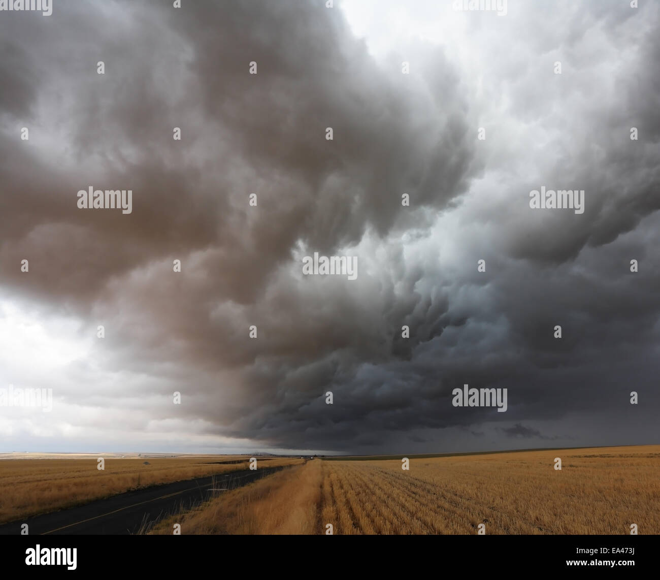 A storm cloud over the field Stock Photo - Alamy