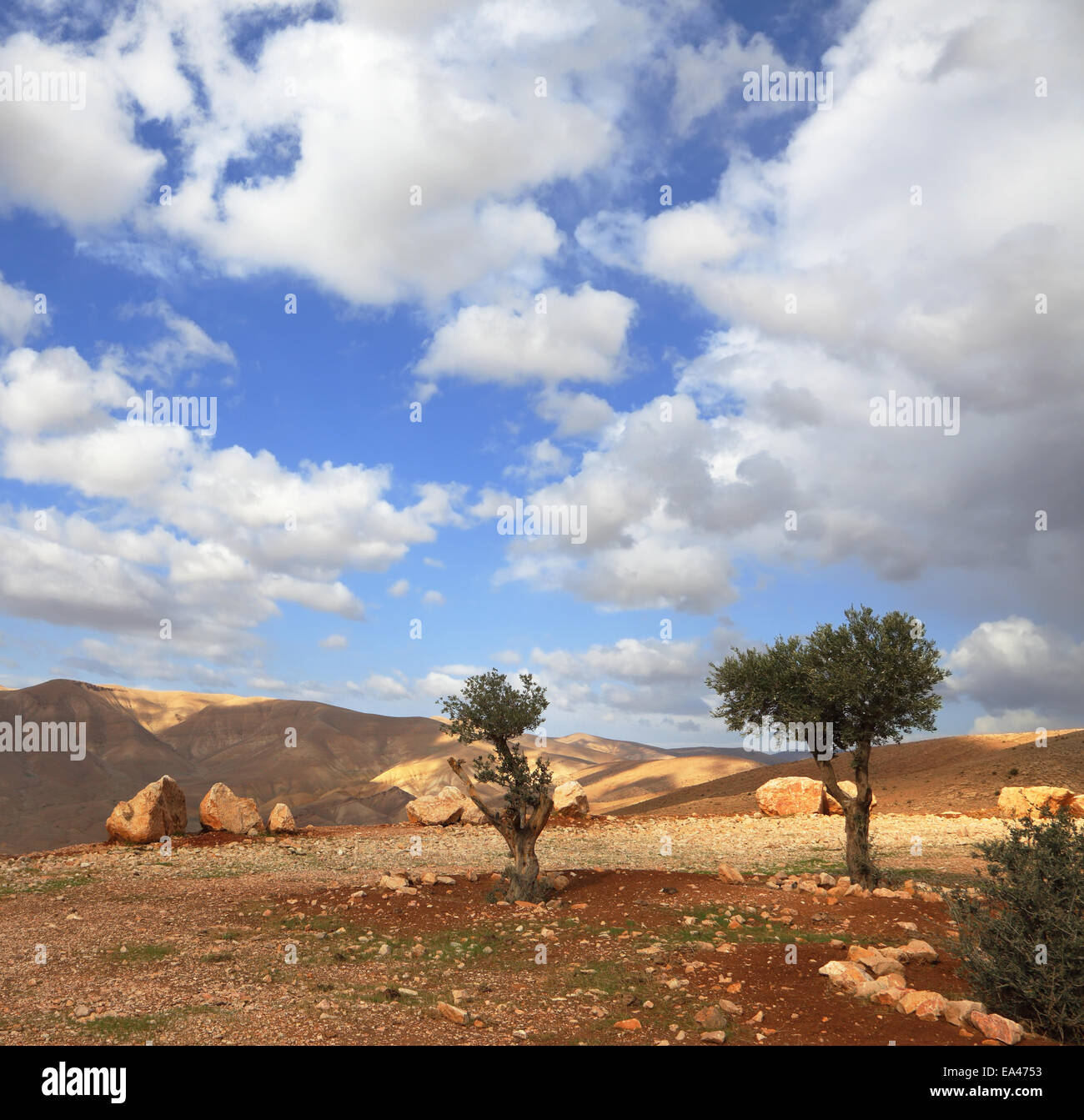 Mountains spring hi-res stock photography and images - Alamy