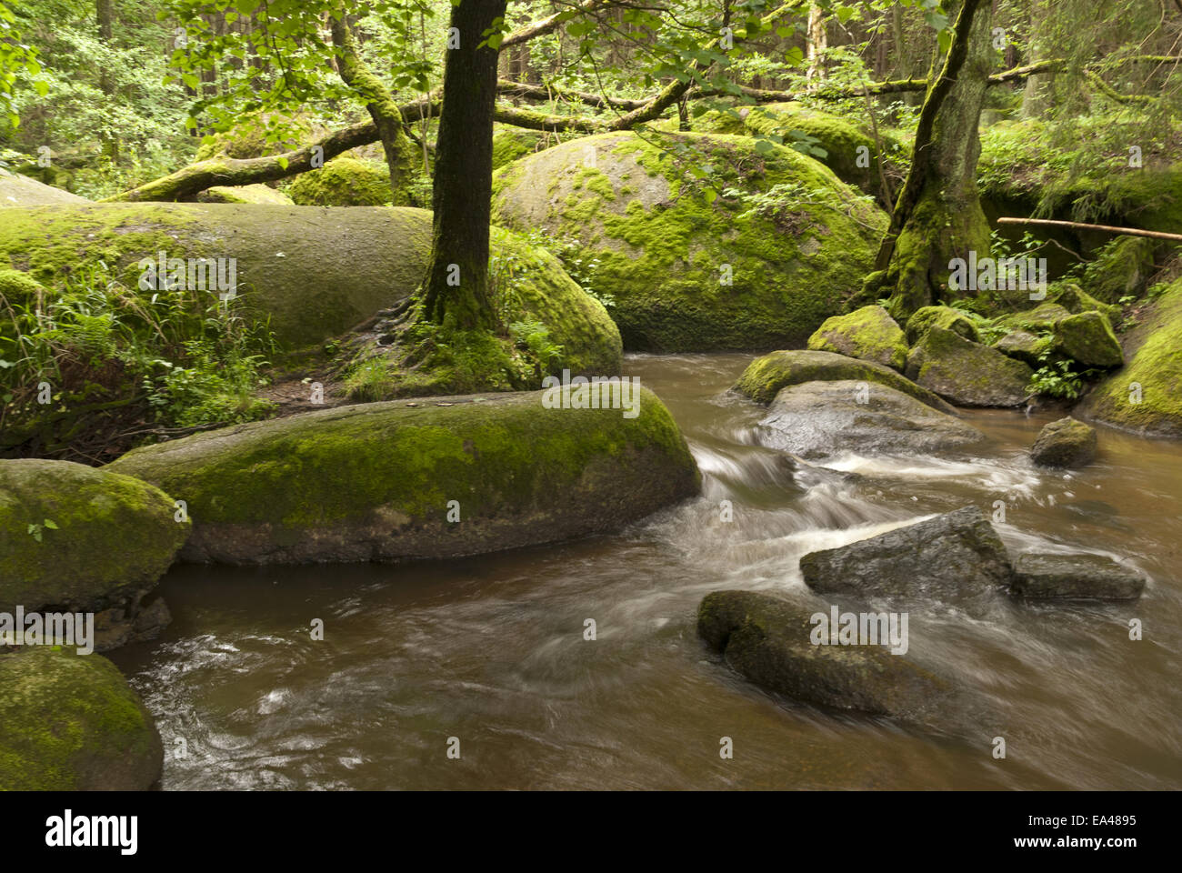 Nature Reserve Doost Stock Photo - Alamy