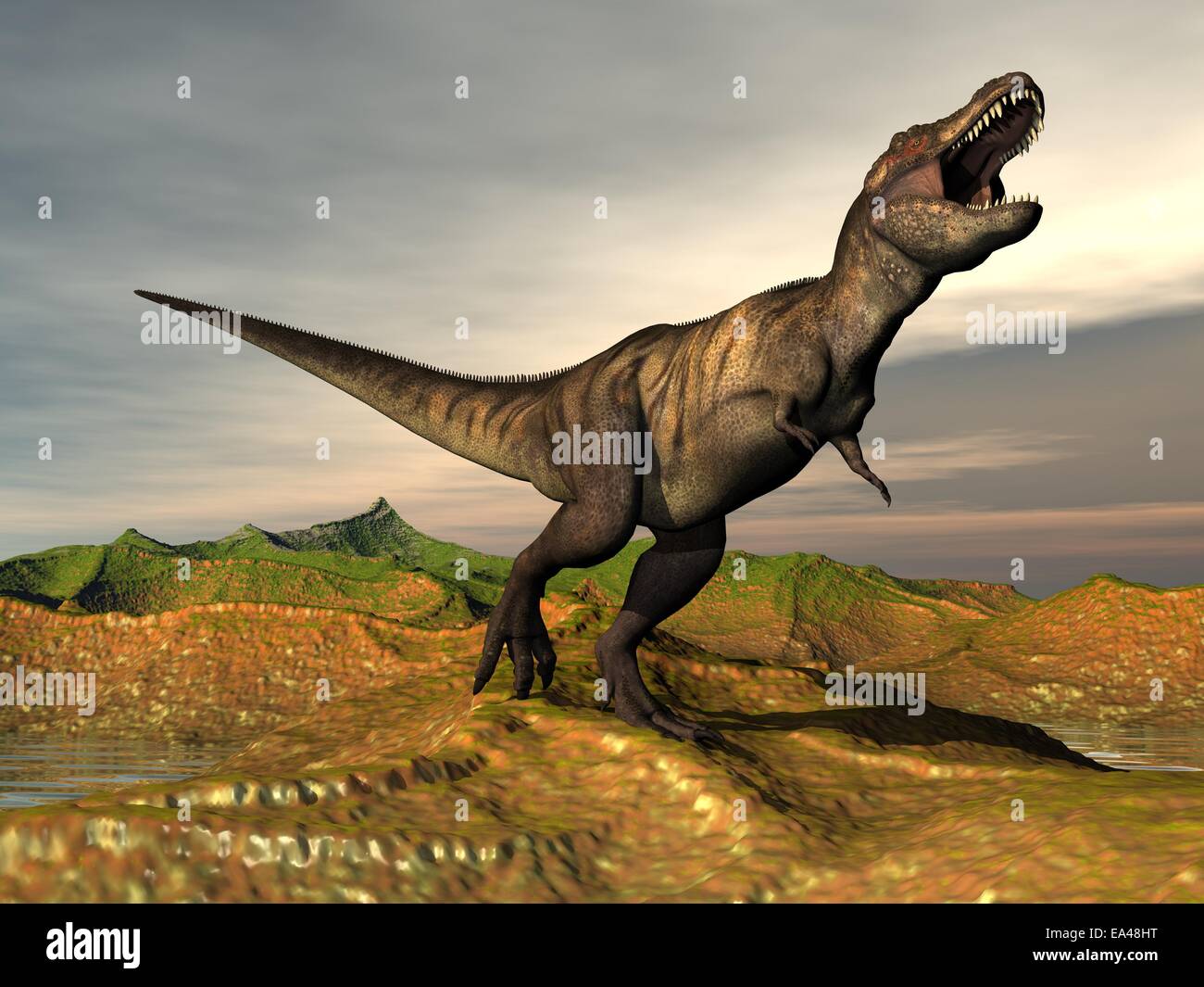 Tyrannosaurus rex dinosaur - 3D render Stock Photo - Alamy