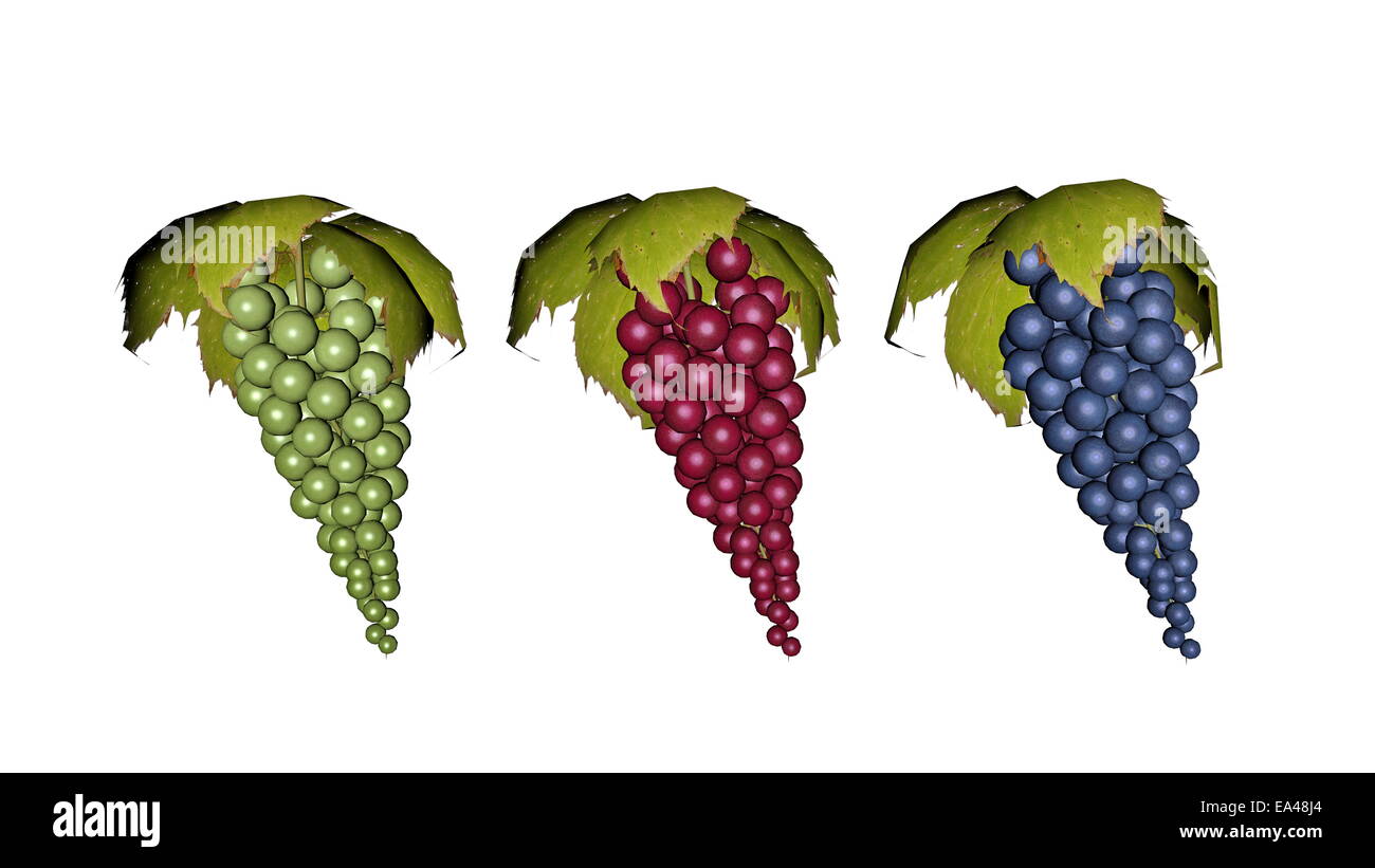 Set of grapes - 3D render Stock Photo - Alamy