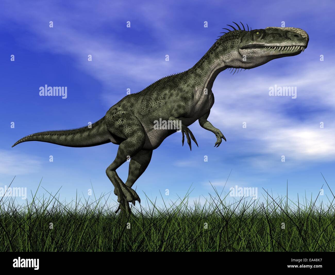 Monolophosaurus dinosaur - 3D render Stock Photo - Alamy