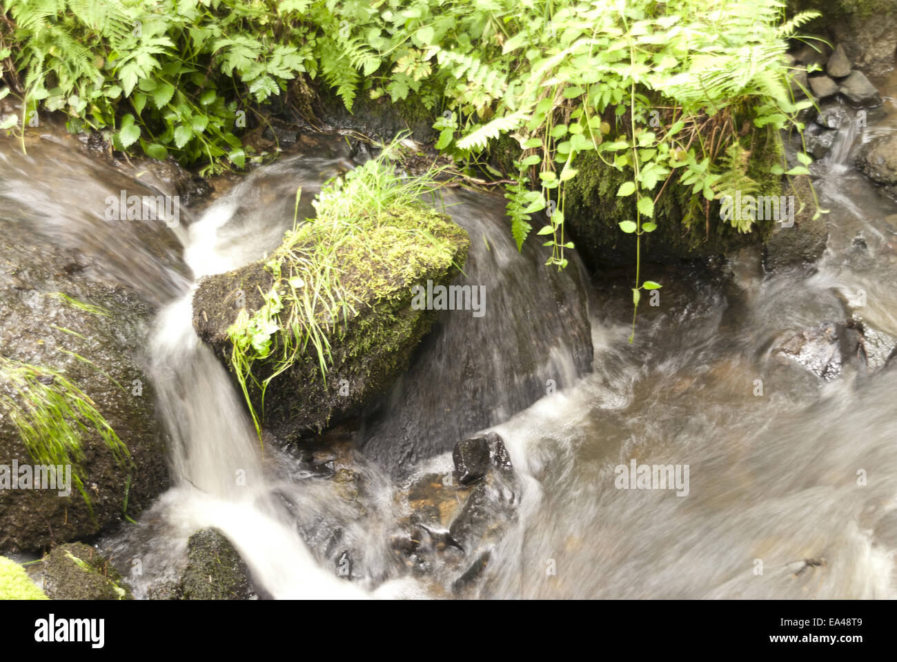 Nature Reserve Doost Stock Photo - Alamy