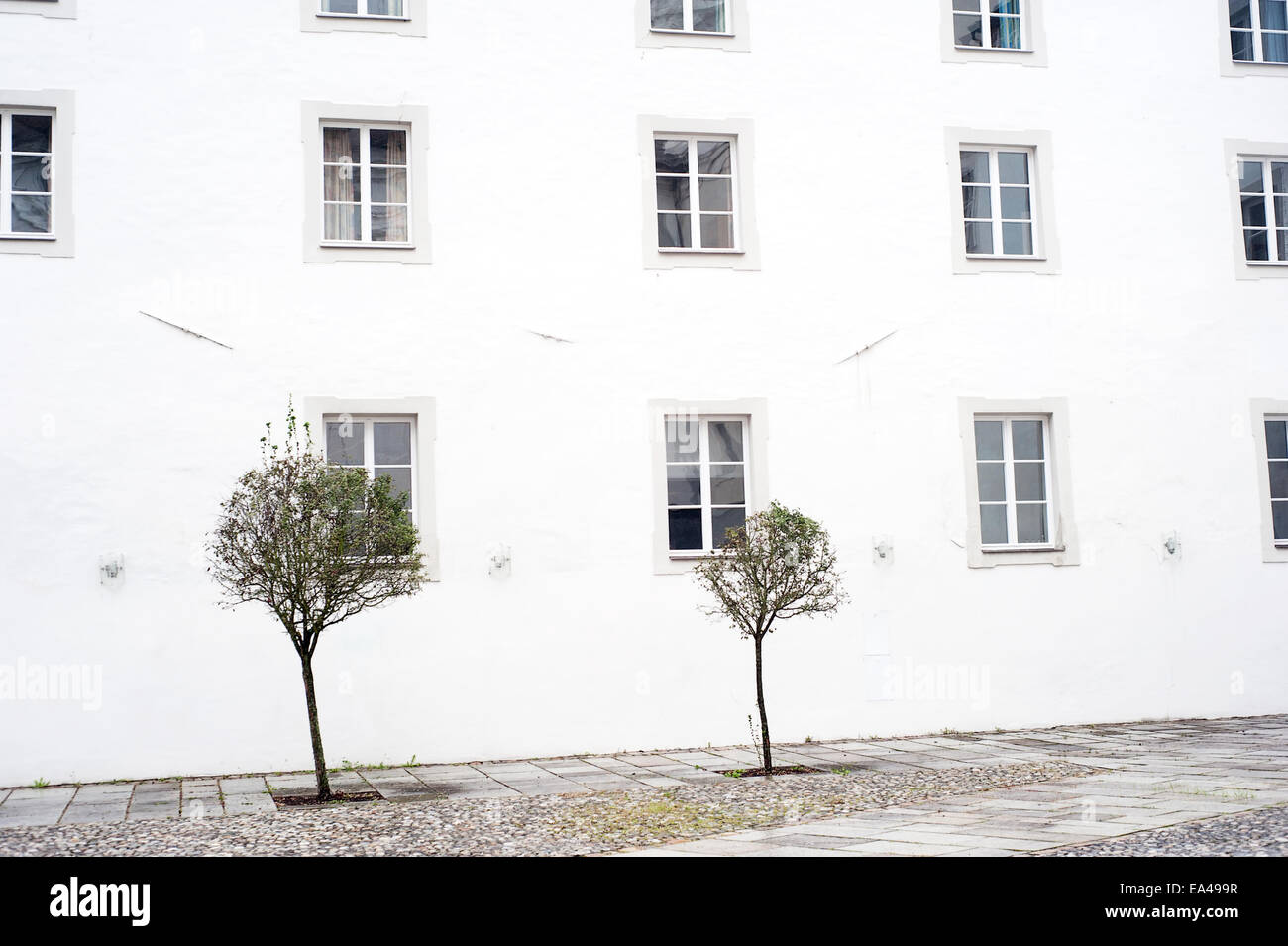Tree and wall Stock Photo - Alamy