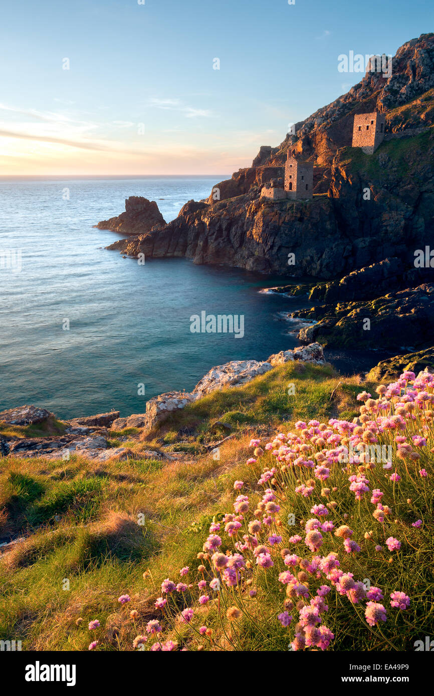 Crown engine houses Botallack Cornwall Uk Stock Photo - Alamy
