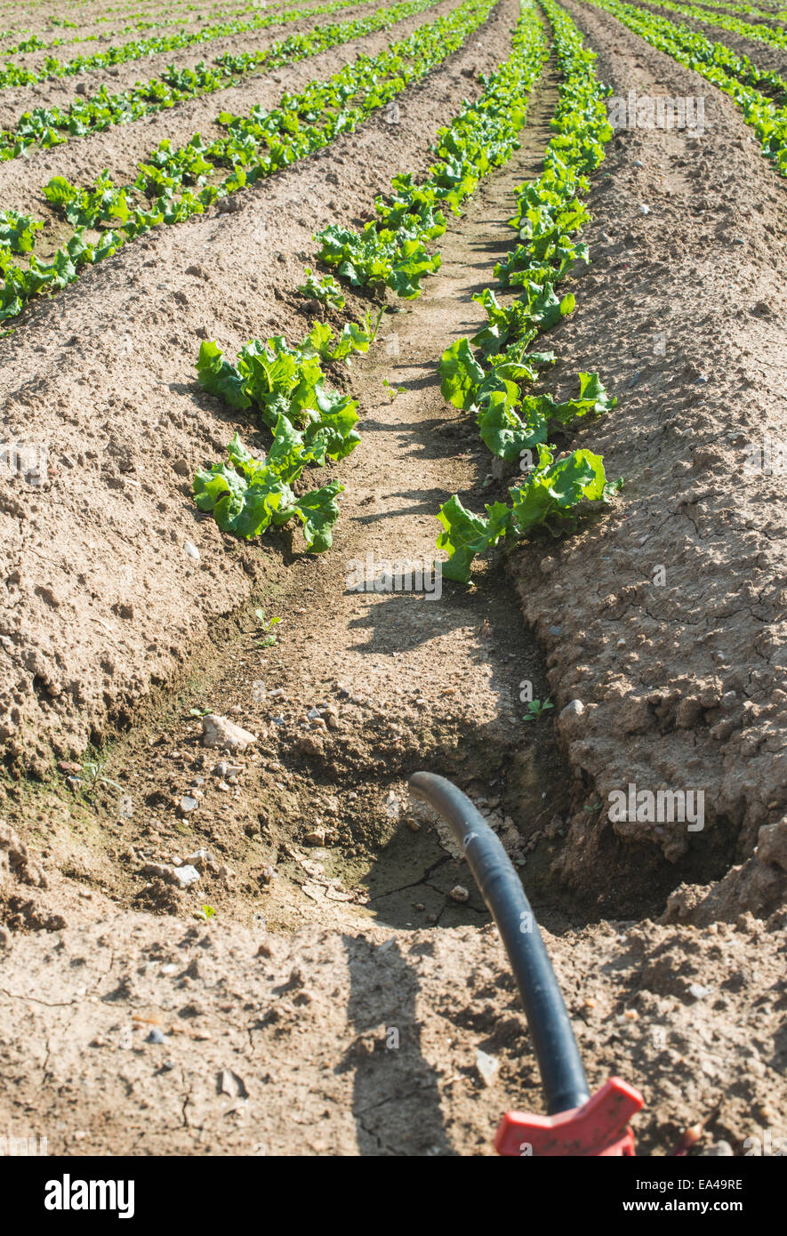 Farming V Technology High Resolution Stock Photography and Images - Alamy