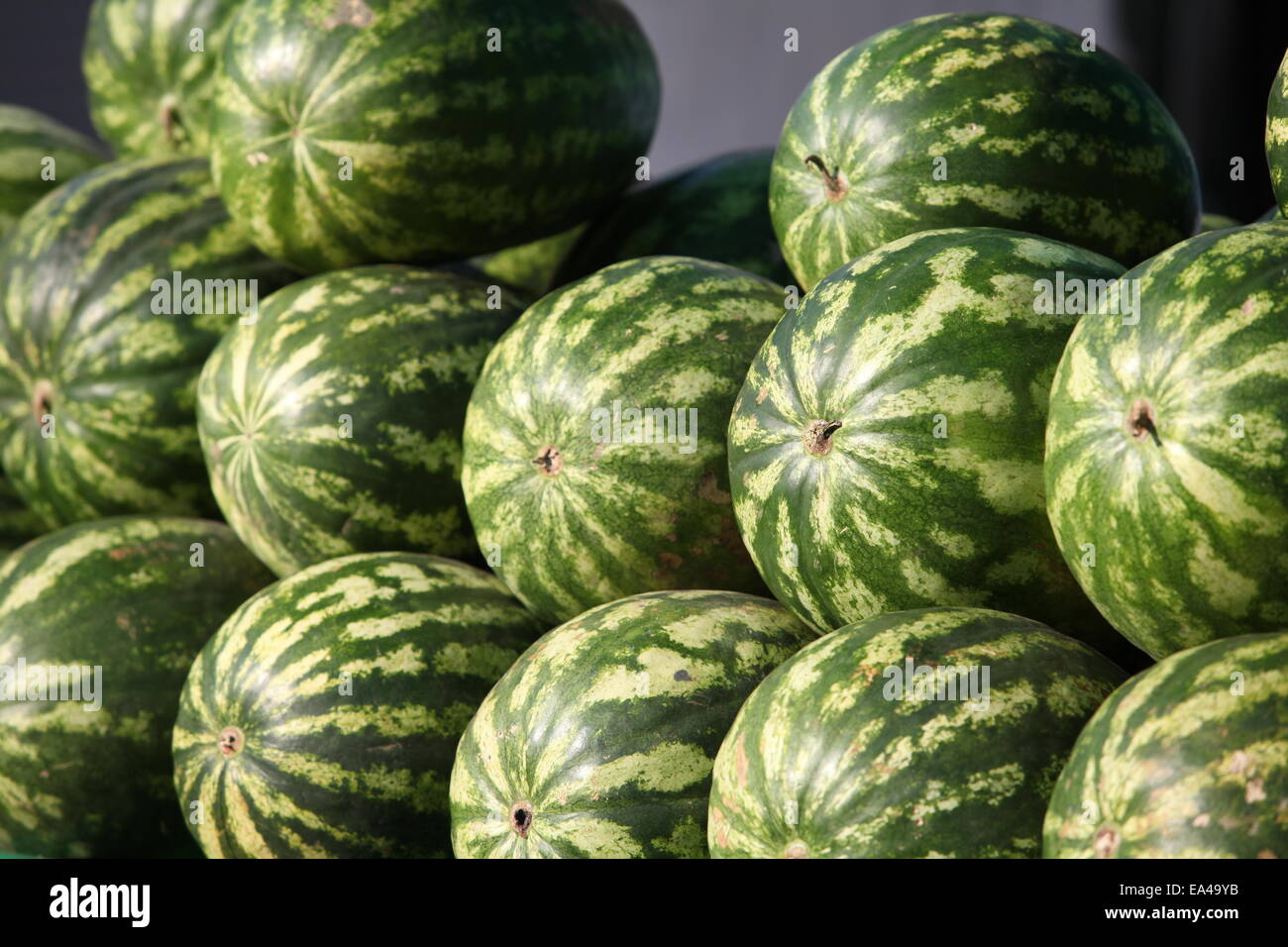 pile of watermelons Stock Photo - Alamy