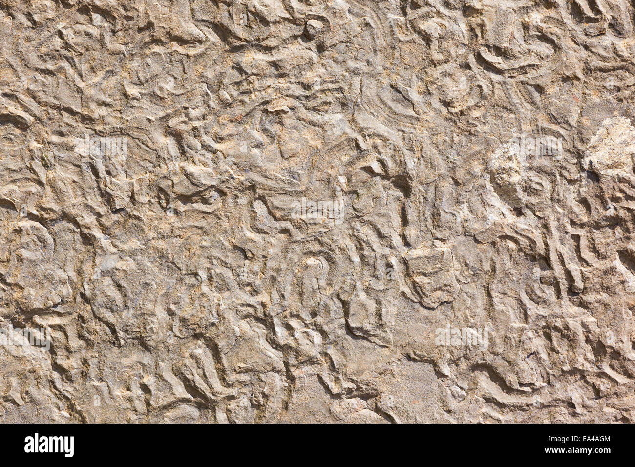 White sand concrete texture hi-res stock photography and images - Alamy
