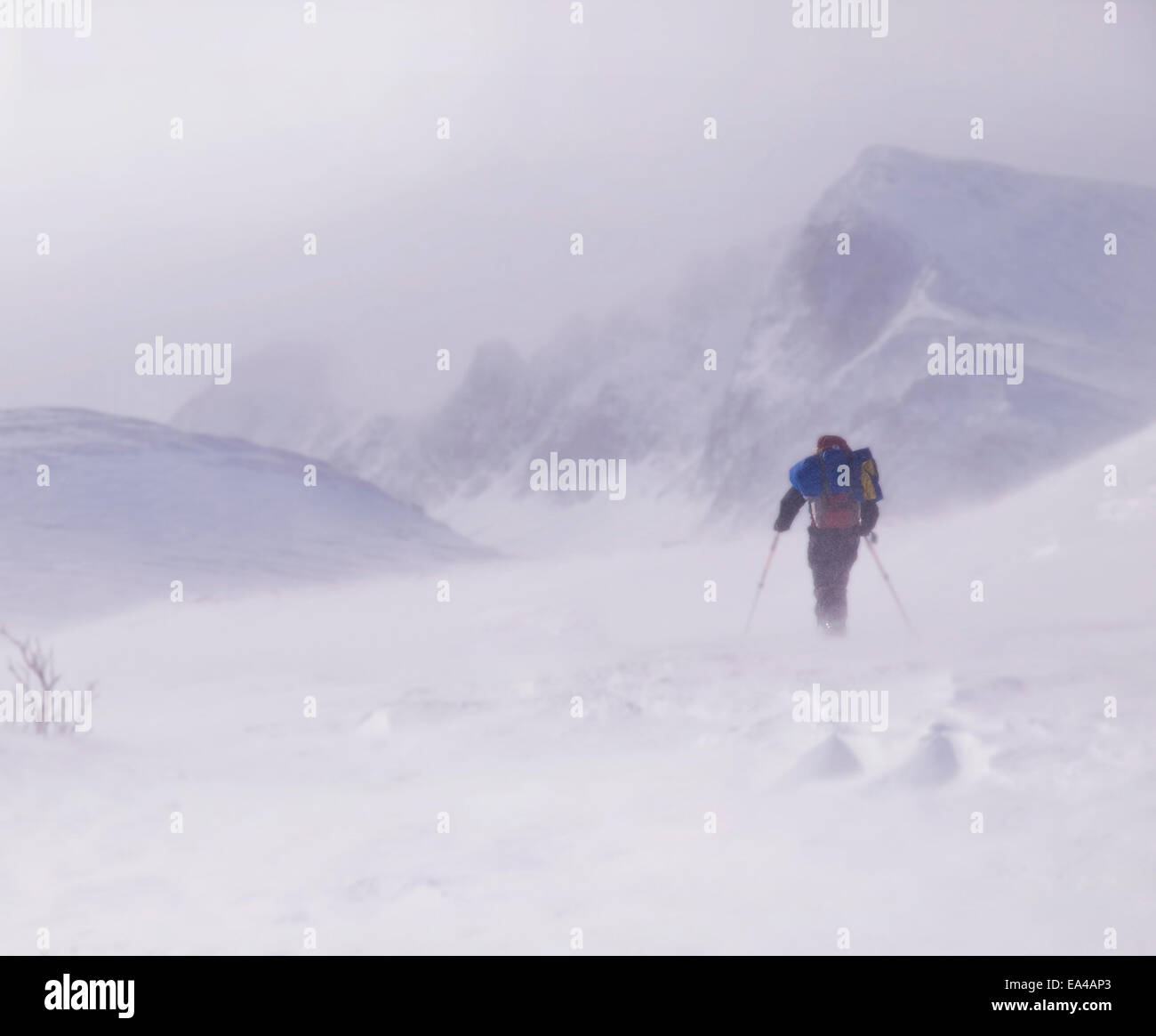 Blizzard conditions hi-res stock photography and images - Alamy