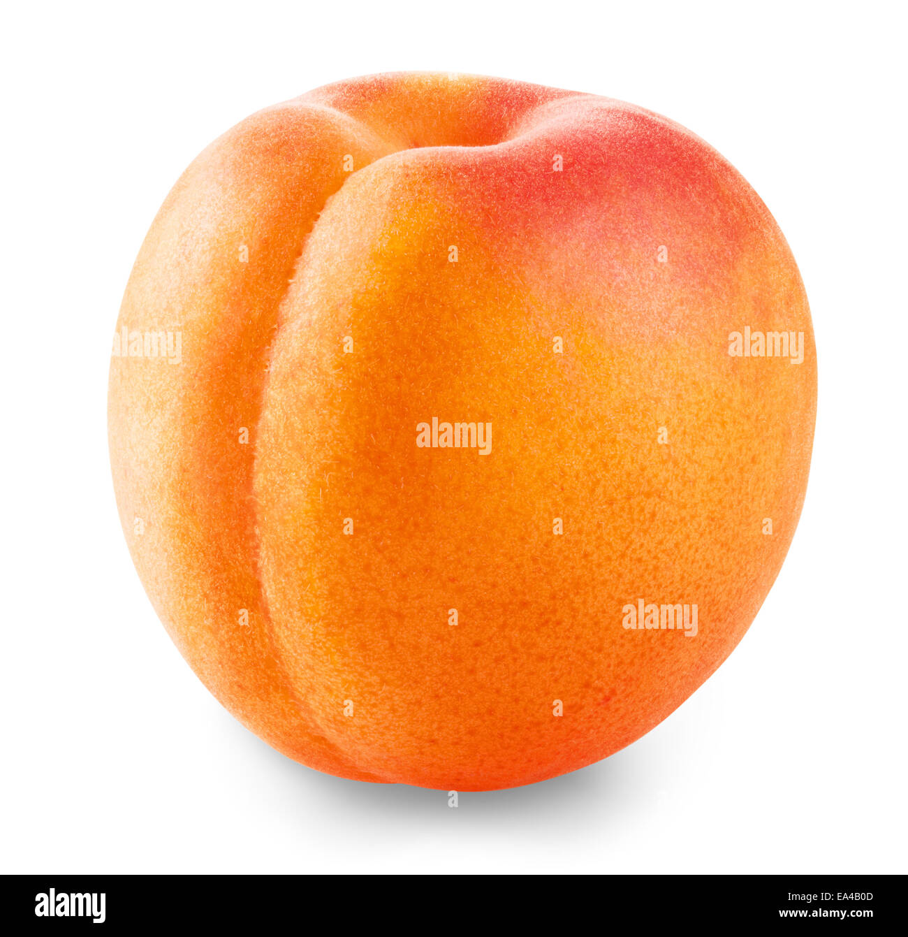 Apricot cutout hi-res stock photography and images - Alamy