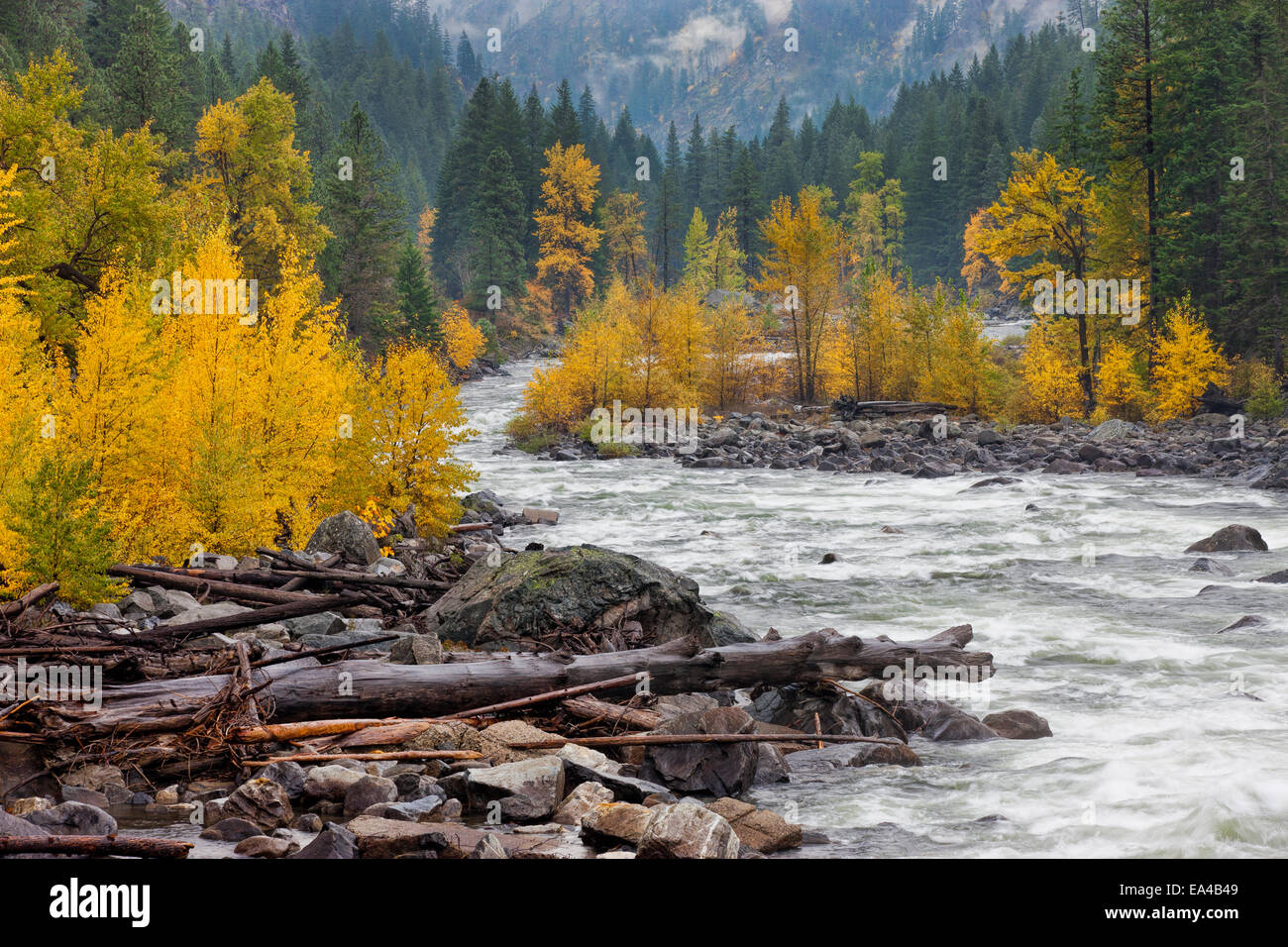 Logs on river hi-res stock photography and images - Alamy