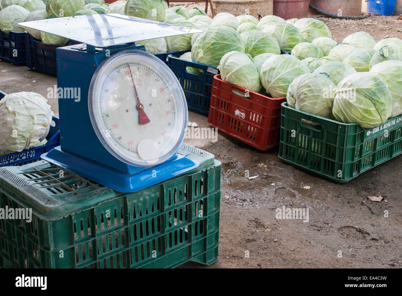 Sale cabbage in the market. Balance for vegetables Stock Photo - Alamy