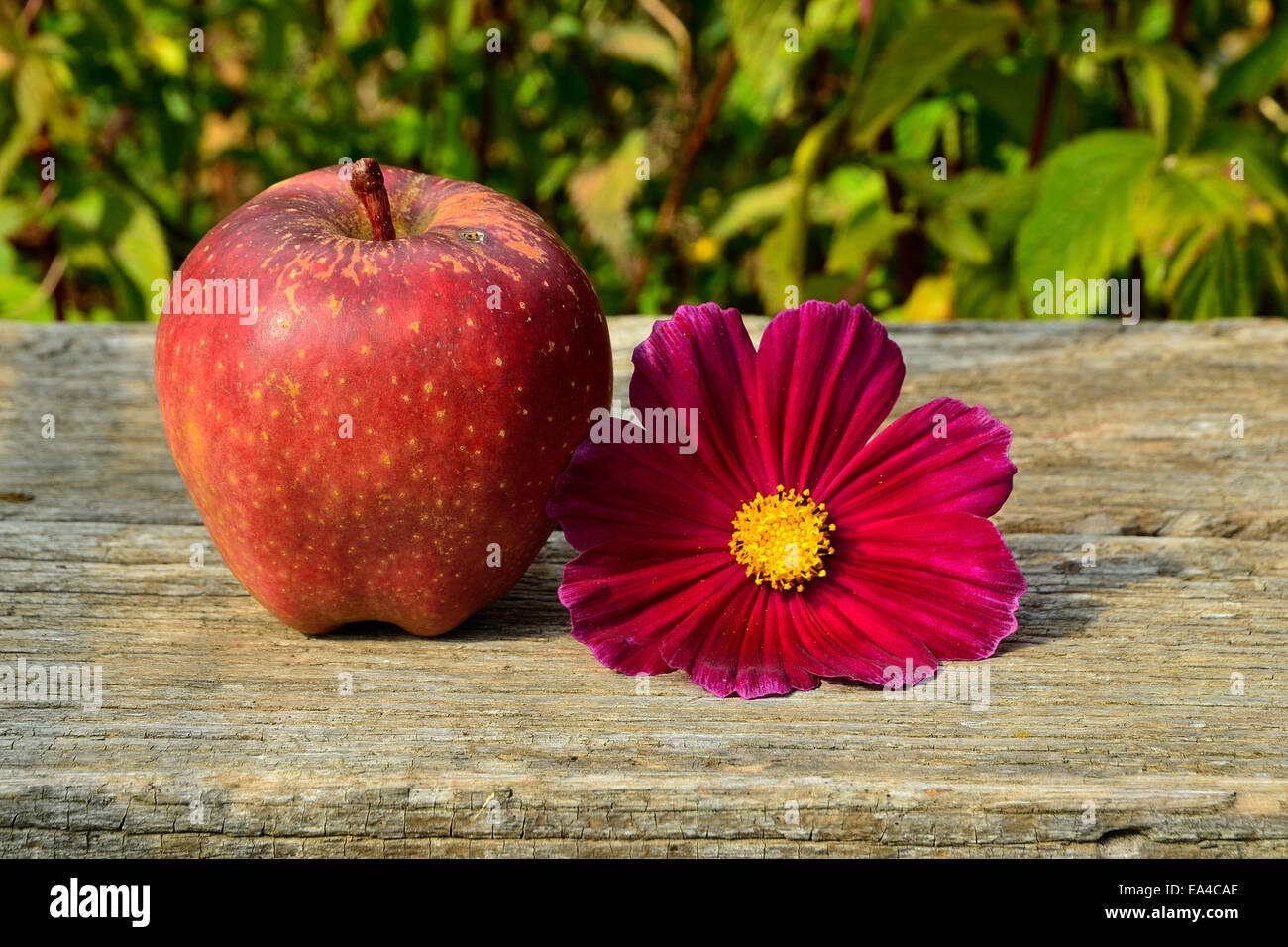 Starkinson hi-res stock photography and images - Alamy