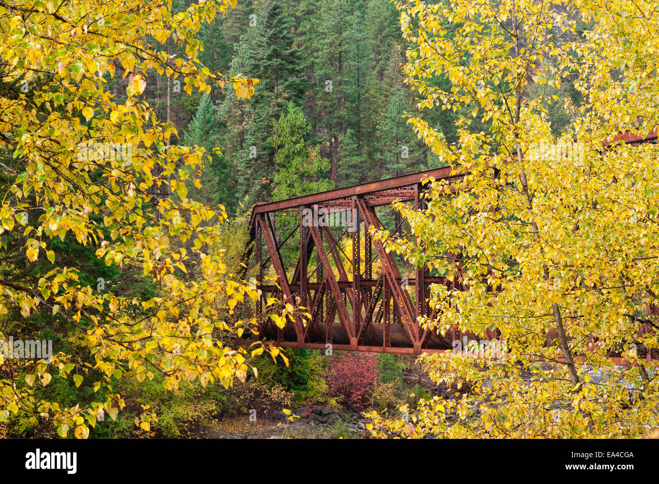 Bridge between yellow trees Stock Photo - Alamy