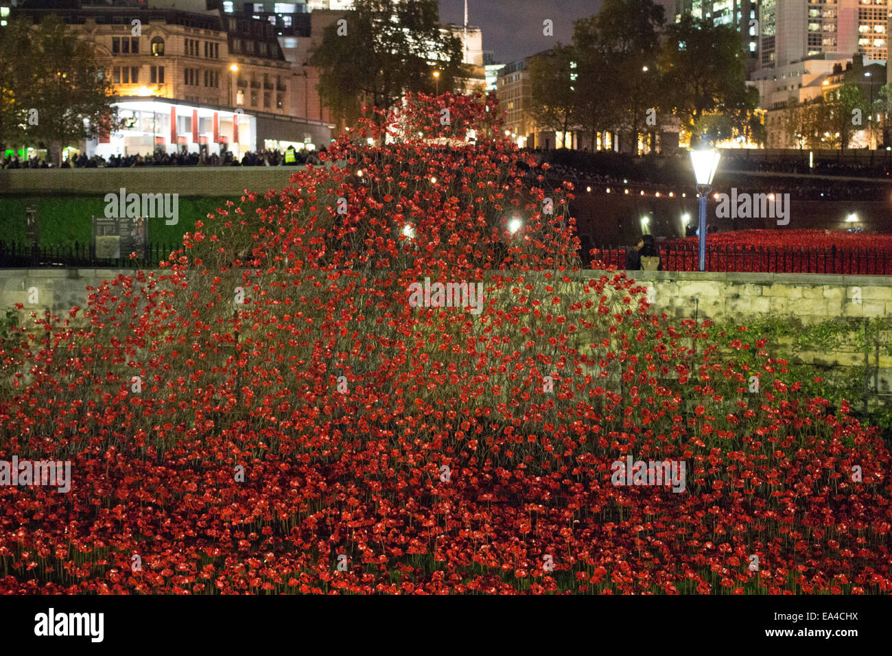 The Wave of poppies, flowing as a river of blood Stock Photo - Alamy