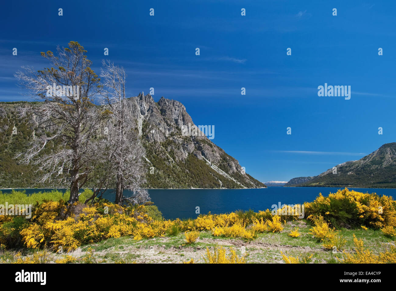 Nahuel Huapi Lake; Bariloche, Argentina Stock Photo - Alamy