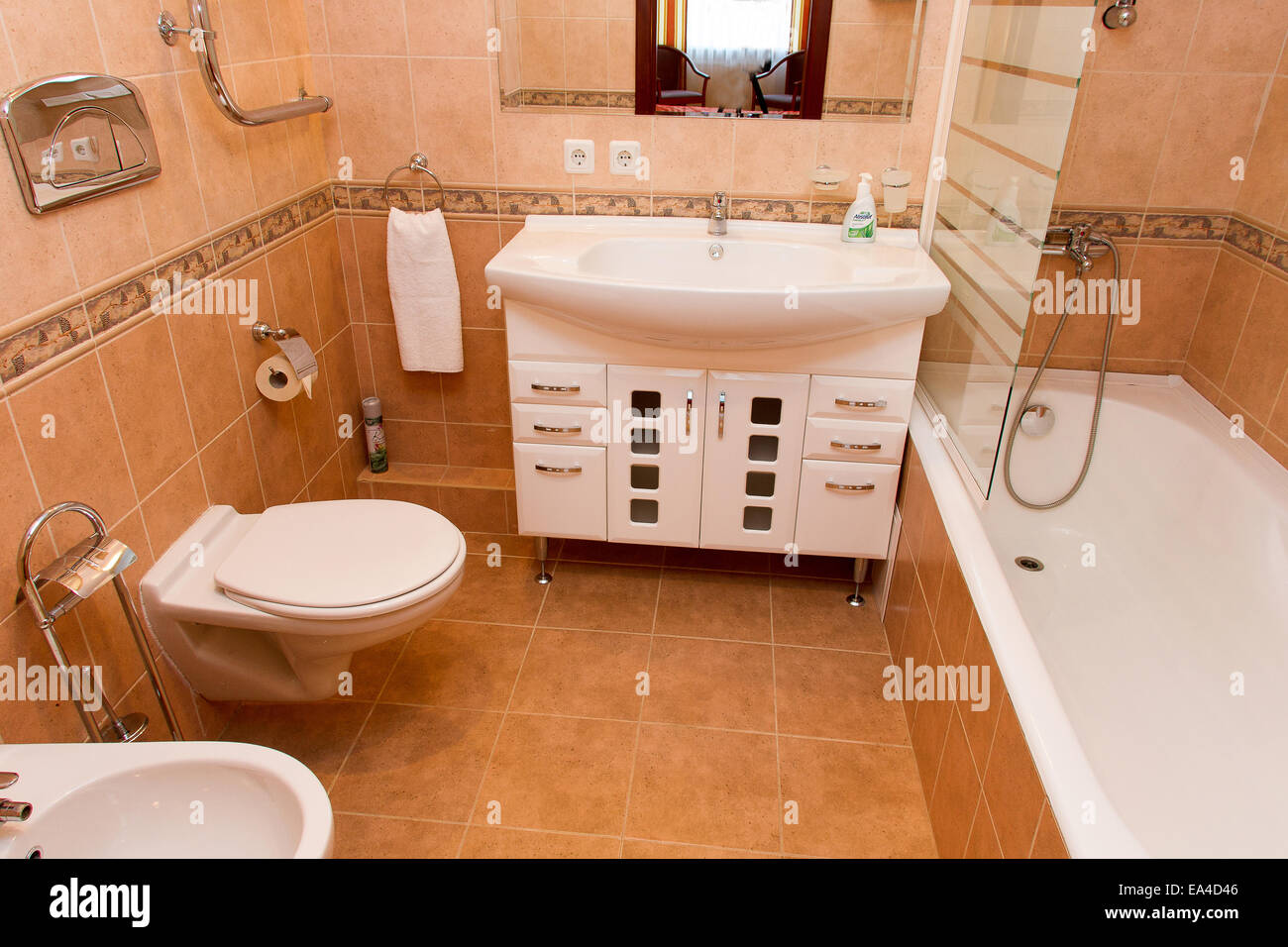Bathroom, WC, toilet, lavatory room interior design Stock Photo - Alamy