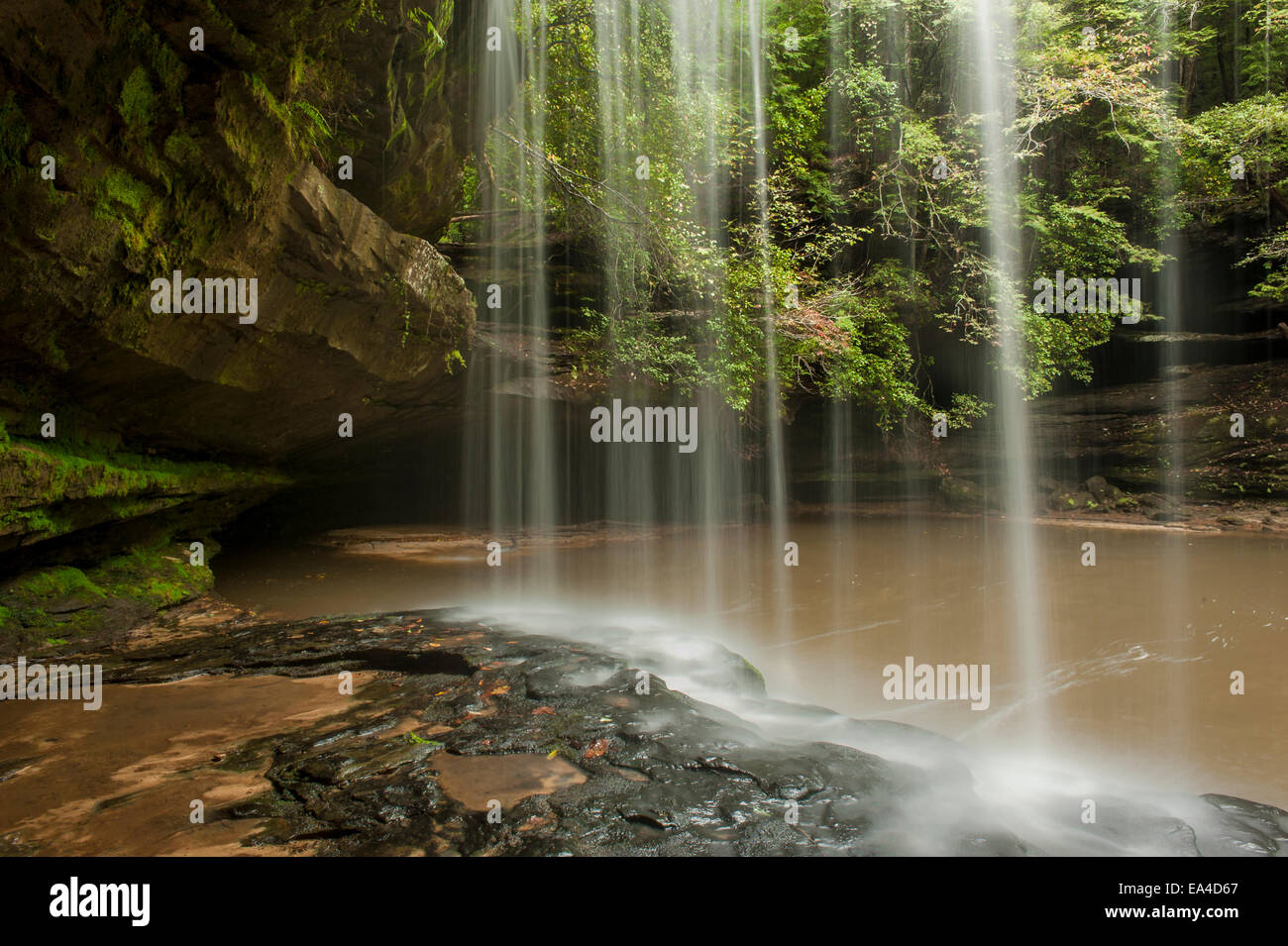 The back side of Caney Creek Falls in the Bankhead National Forest. The ...