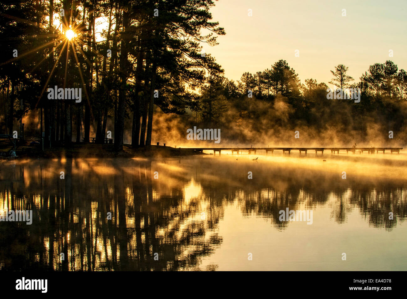 Alabama landscape hi-res stock photography and images - Alamy