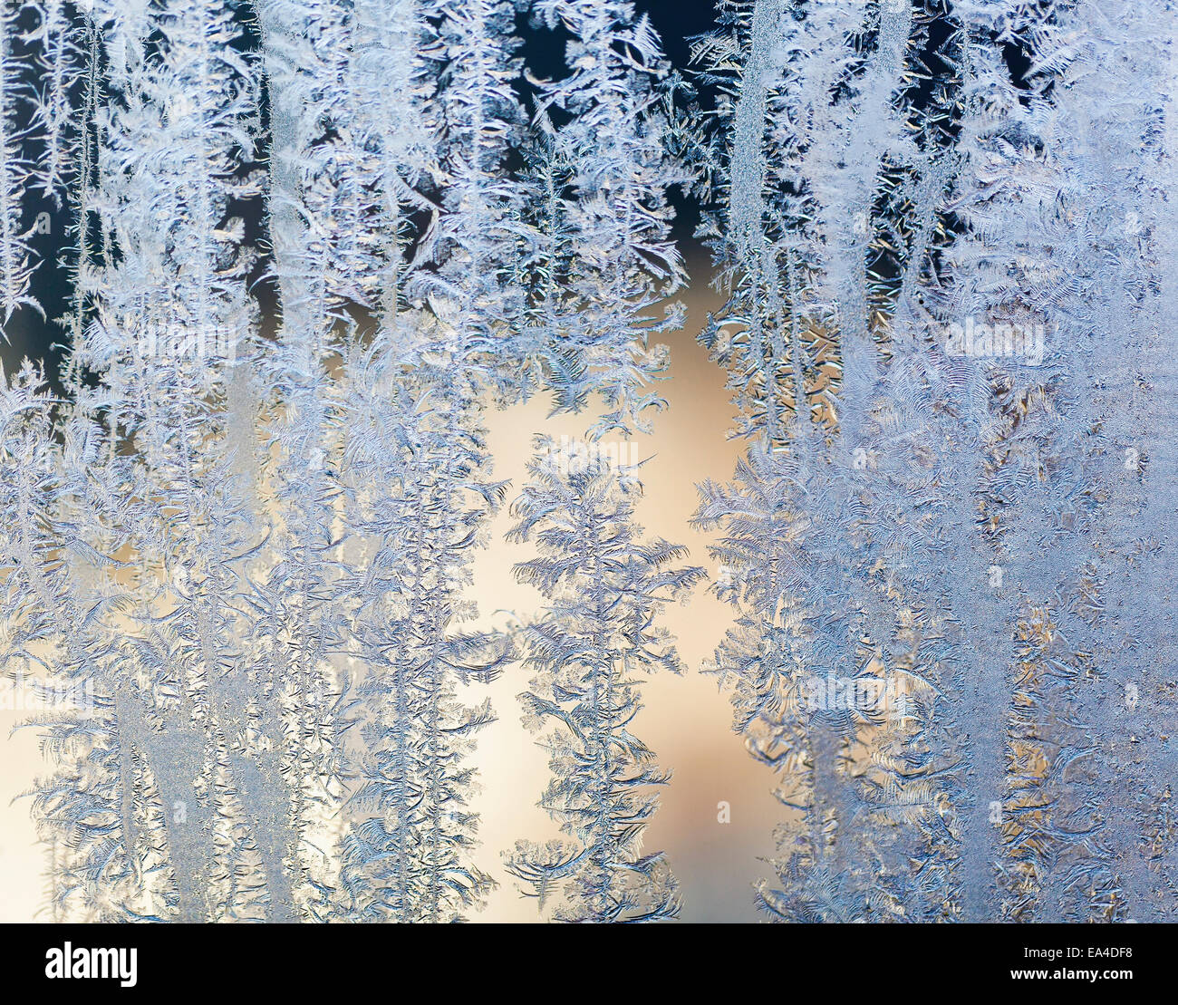 Frost patterns are captured on a frosted window pane in the early ...