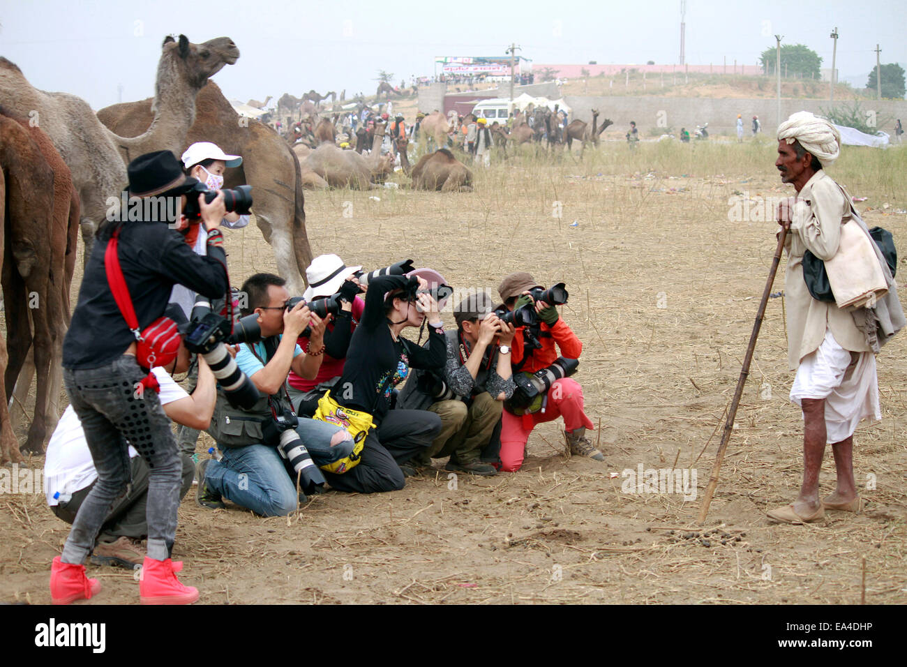 photographers, male, female,shooting, villager, camels, in pushkar ...