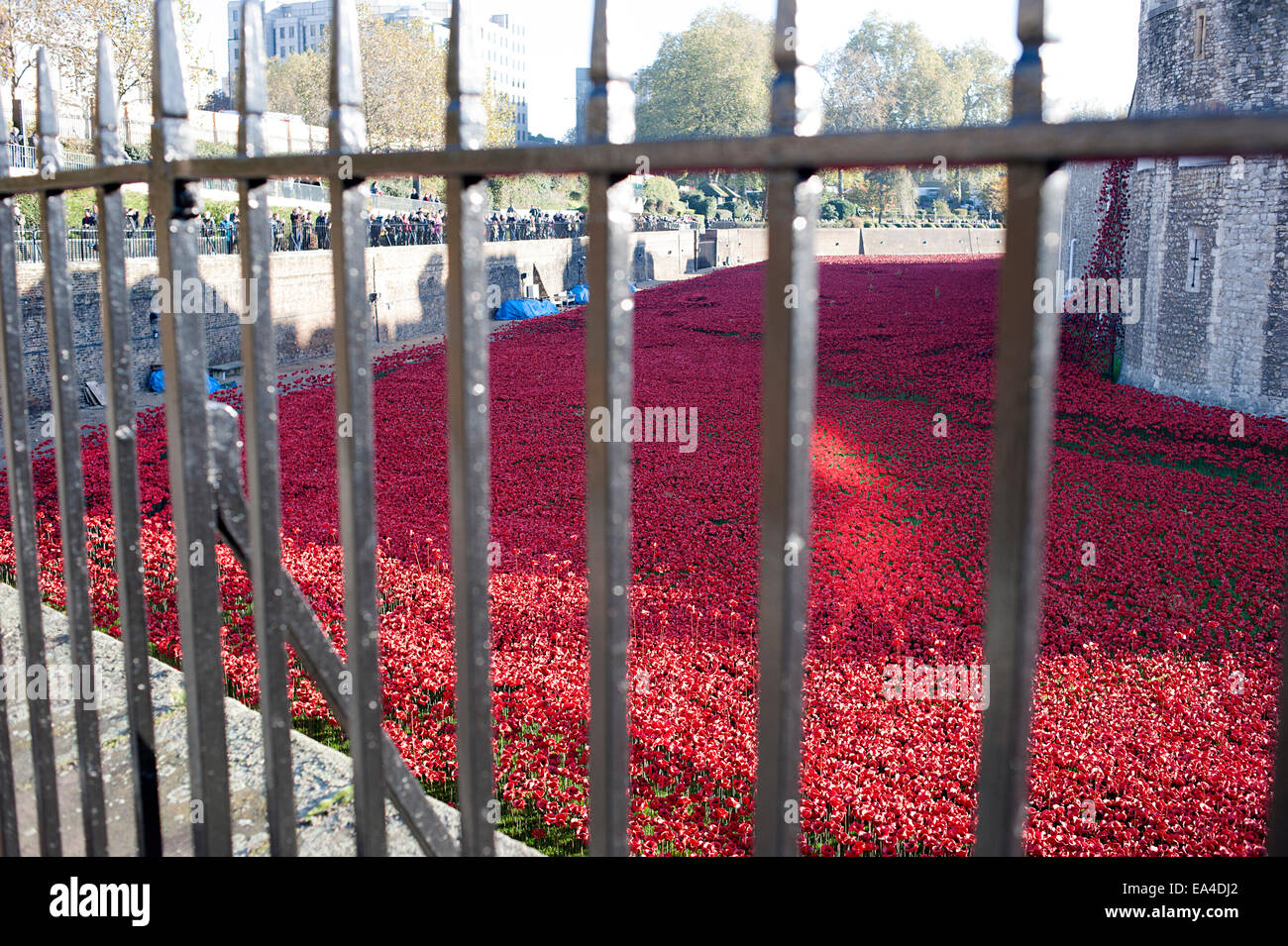 First World War Poppy Commemoration at The Tower of London Stock Photo ...