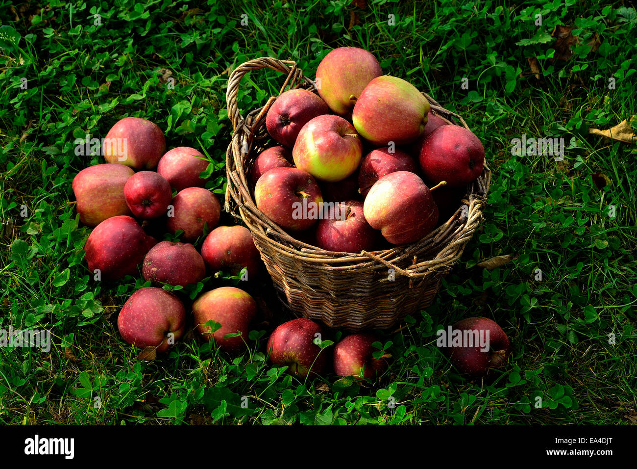 Starkinson hi-res stock photography and images - Alamy