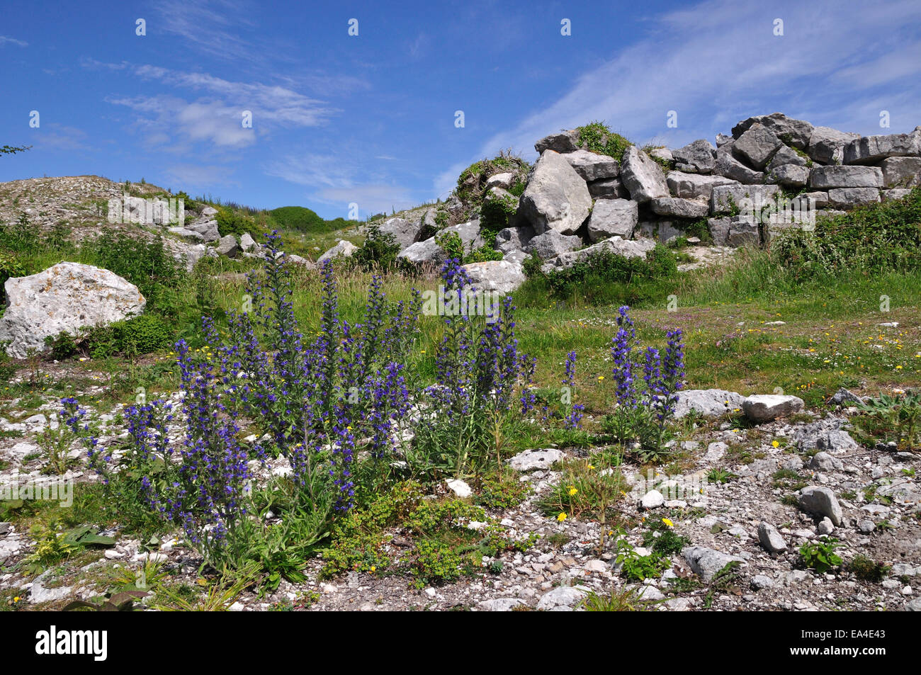 Portland stone hi-res stock photography and images - Alamy