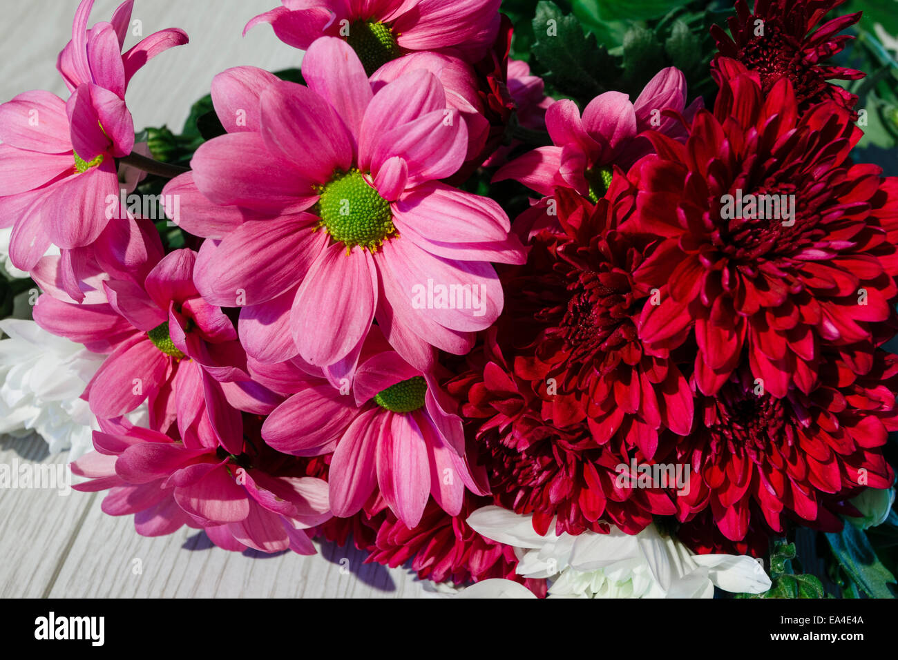 Bunch of chrysanthemum cut flowers on a wooden table top Stock Photo ...