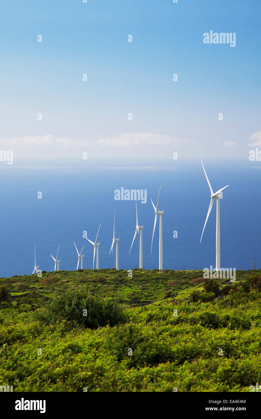 The Auwahi Wind Farm in Kaupo; Maui, Hawaii, United States of America ...