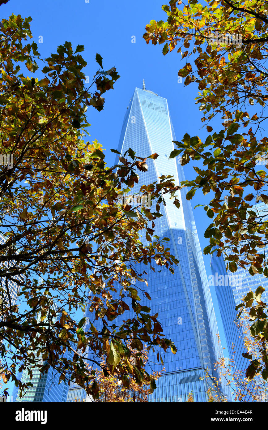 World Trade Center Tower One on the day the building opens to workers ...