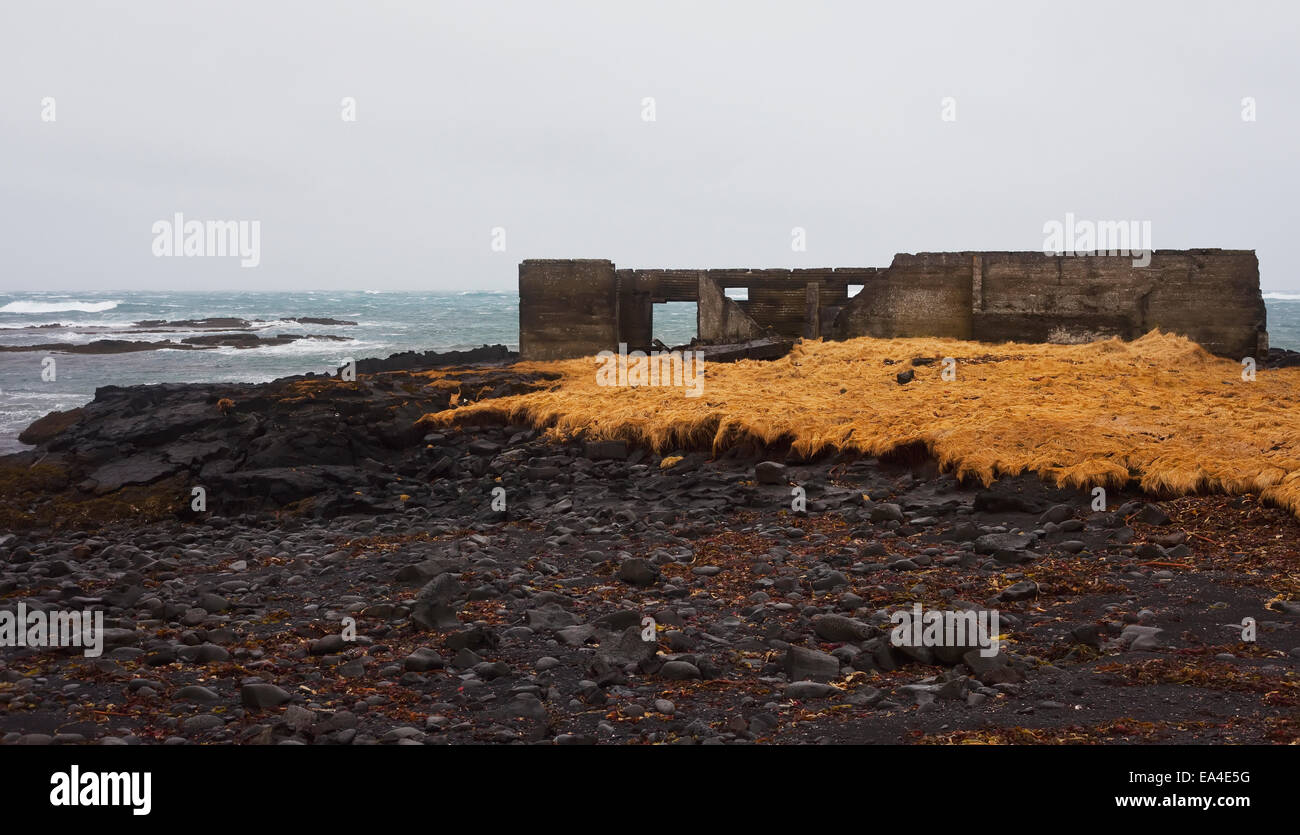 The remains of a stone building on a beach along the south coast of ...