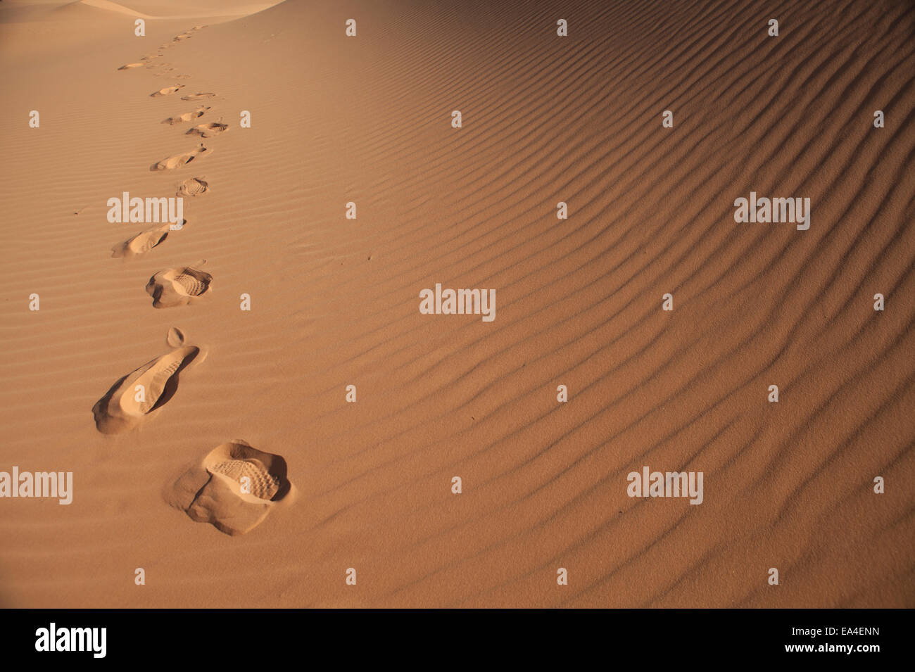 Human footprints and ripples in the sand, Coral Pink Sand Dunes State ...