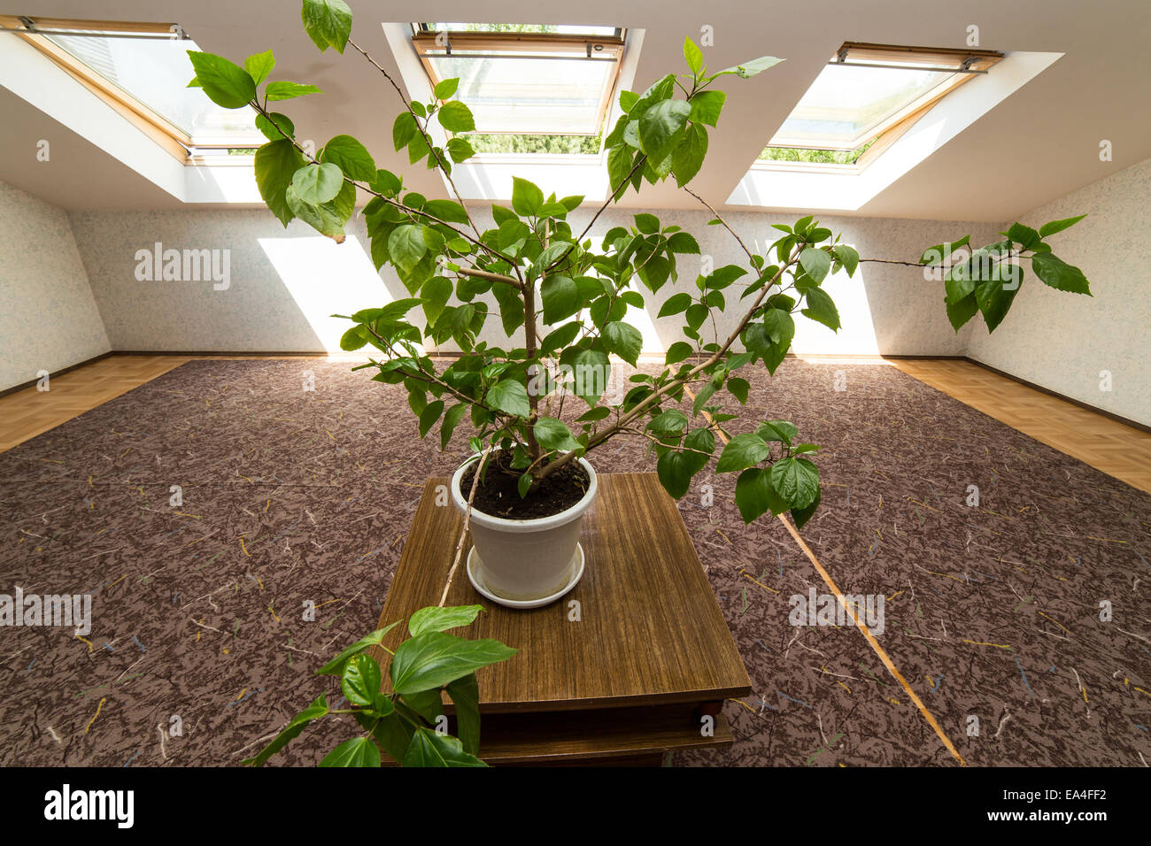 Luxury lobby in hotel, reception hall interior design Stock Photo - Alamy