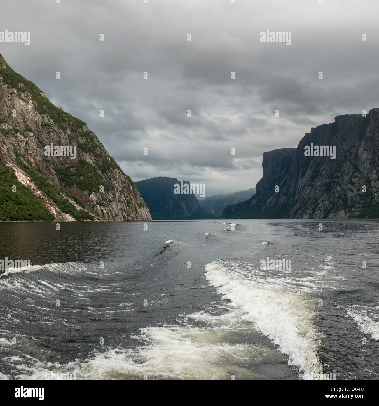 Norris Point in Gros Morne National Park; Newfoundland, Canada Stock ...
