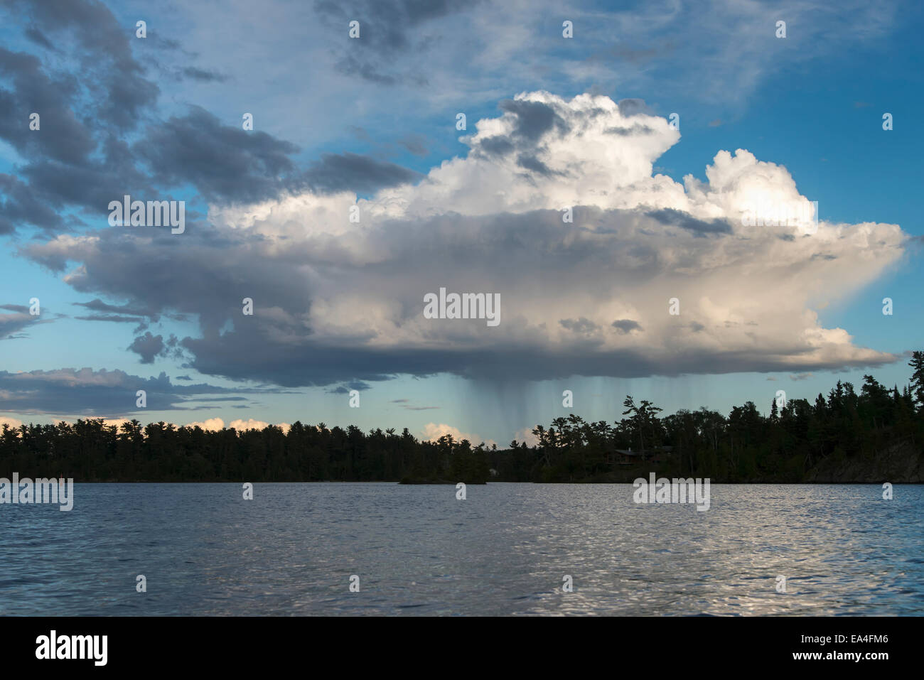 A single storm cloud deposits rain over the silhouette of a forest ...