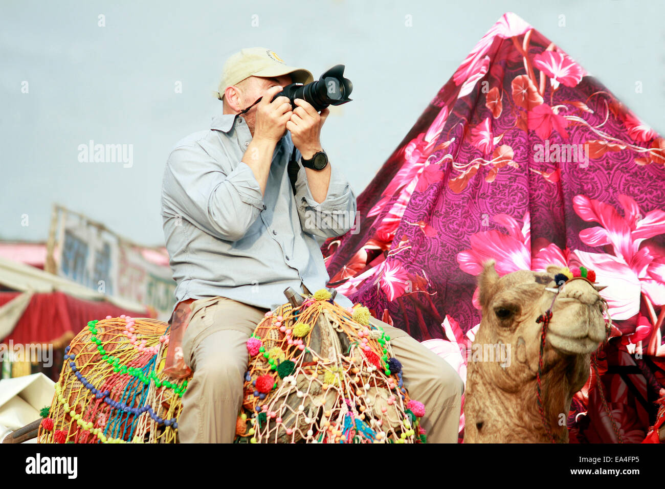 cameraman, camel, tourist, foreign, female, canon, DSLR, shooting, in ...