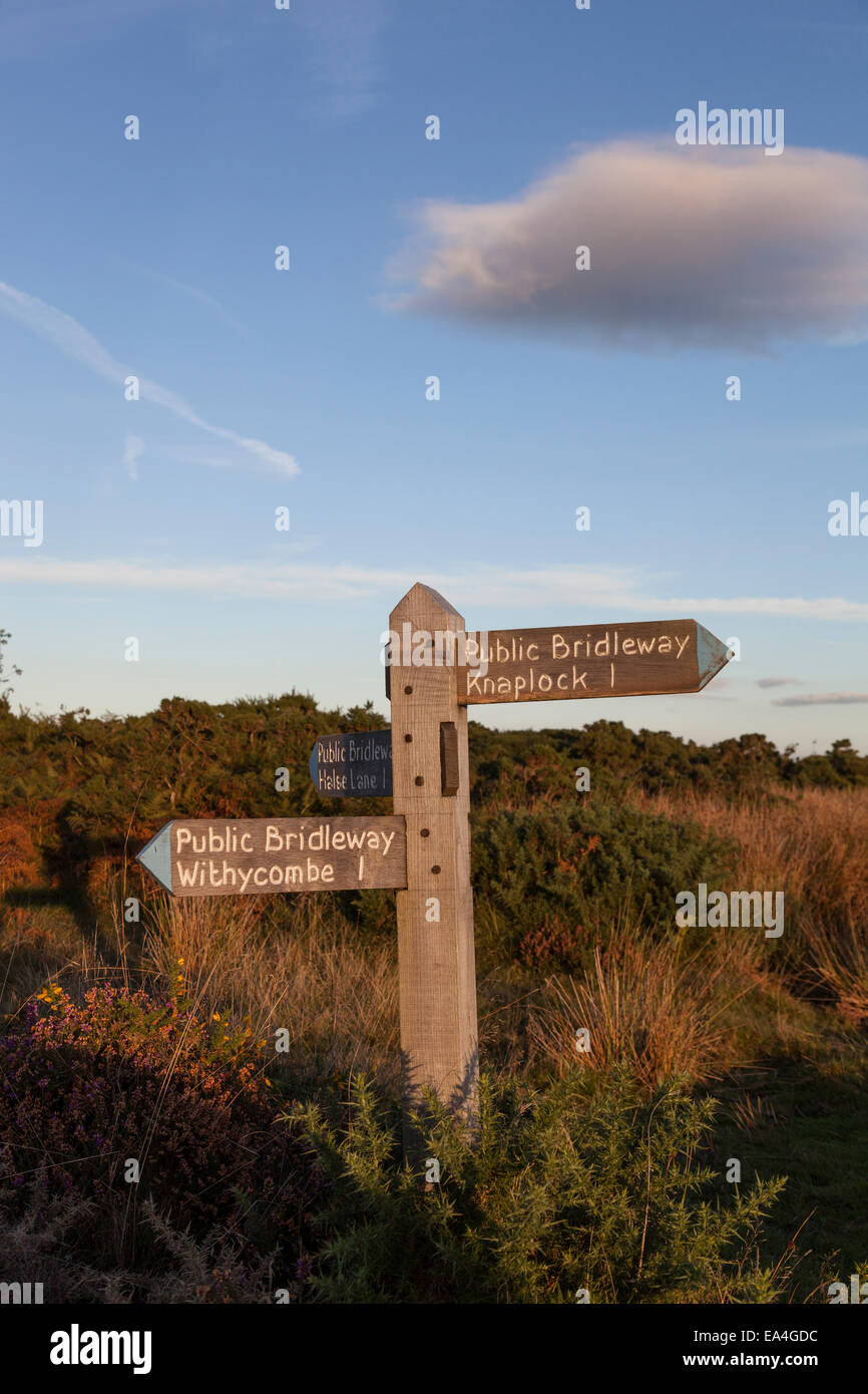 Wooden bridleway signpost on Exmoor bathed in late afternoon sun Stock ...