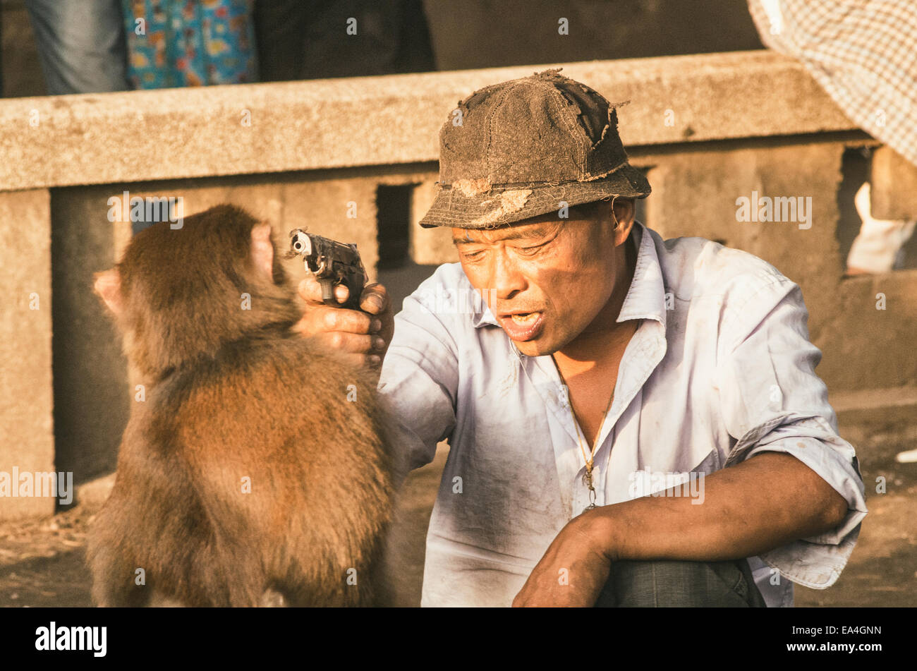 Monkey china hi-res stock photography and images - Alamy