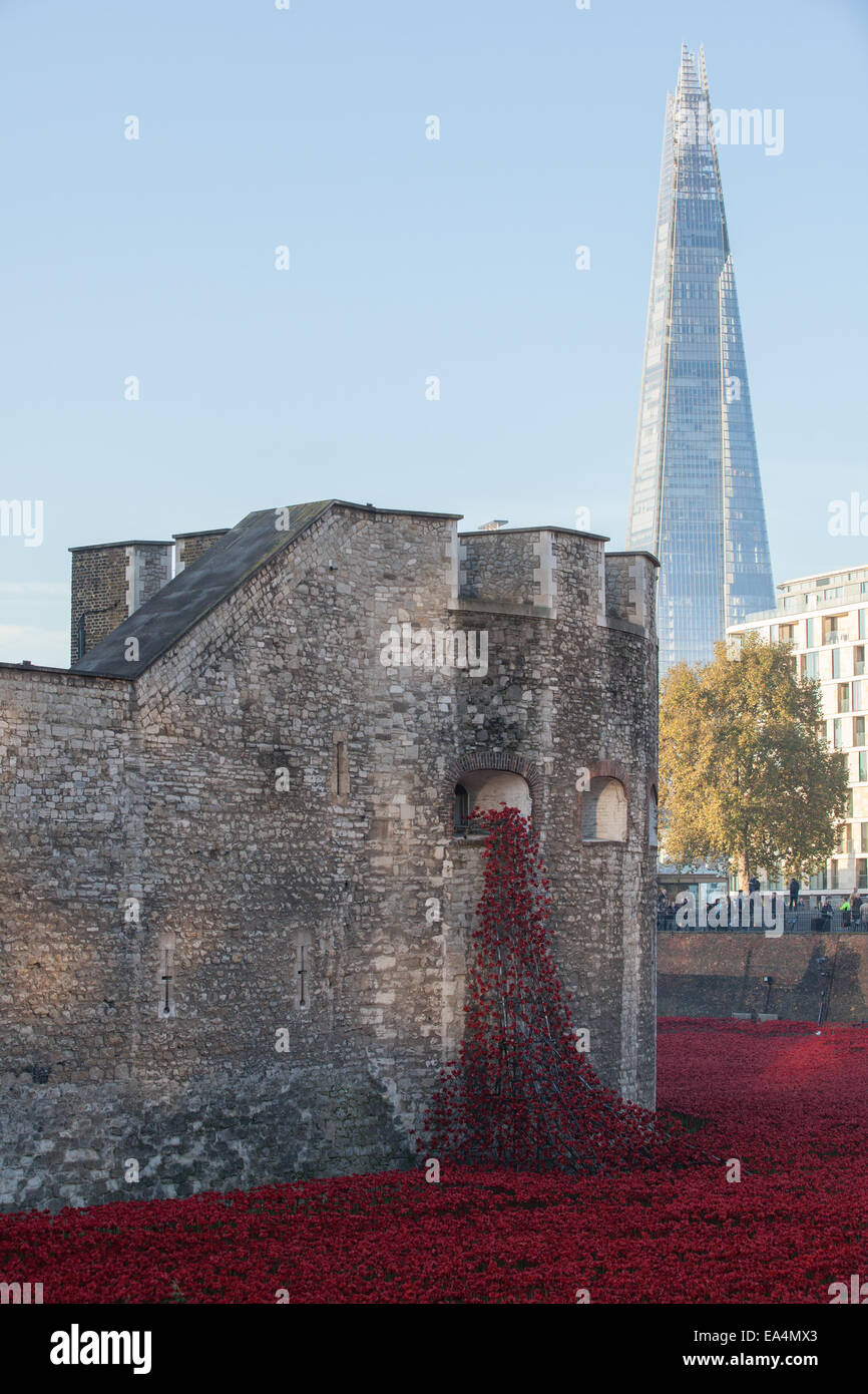 Remembrance day poppy cascade hi-res stock photography and images - Alamy