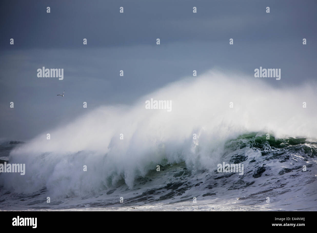 Ocean wave off the coast of Southern Iceland near the blue lagoon ...