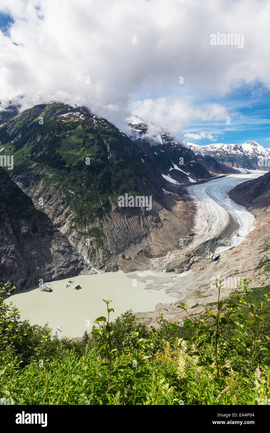 Salmon glacier alaska hi-res stock photography and images - Alamy