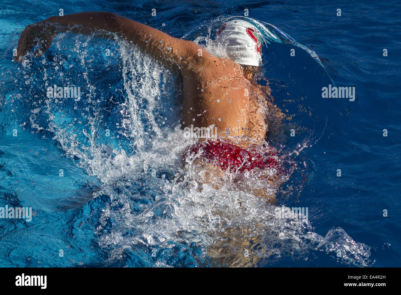 Stanford, California, USA. 6th Nov, 2014. November 5, 2014.A member of ...