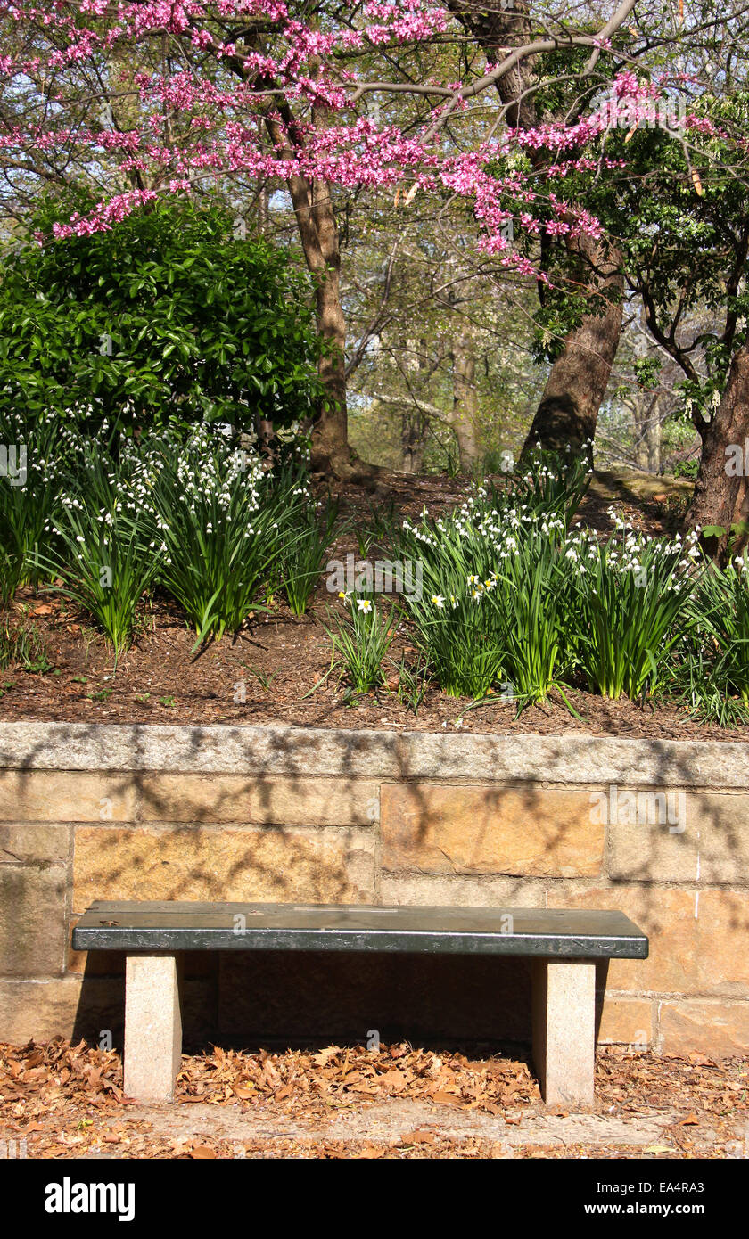 Central park bench hi-res stock photography and images - Alamy