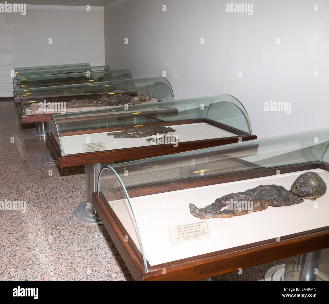 mummies from the Middle Ages, Amasya Archaeological Museum, Turkey ...