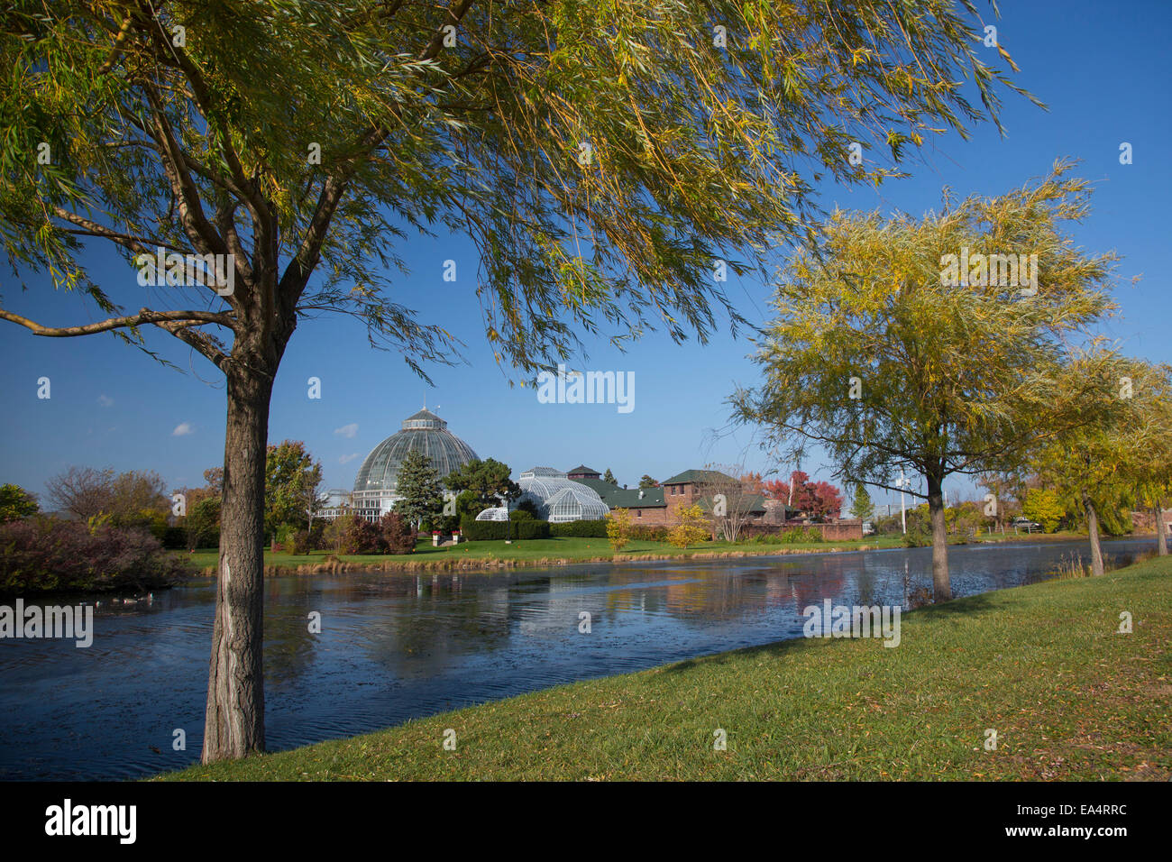Detroit, Michigan - The Anna Scripps Whitcomb Conservatory on Belle ...
