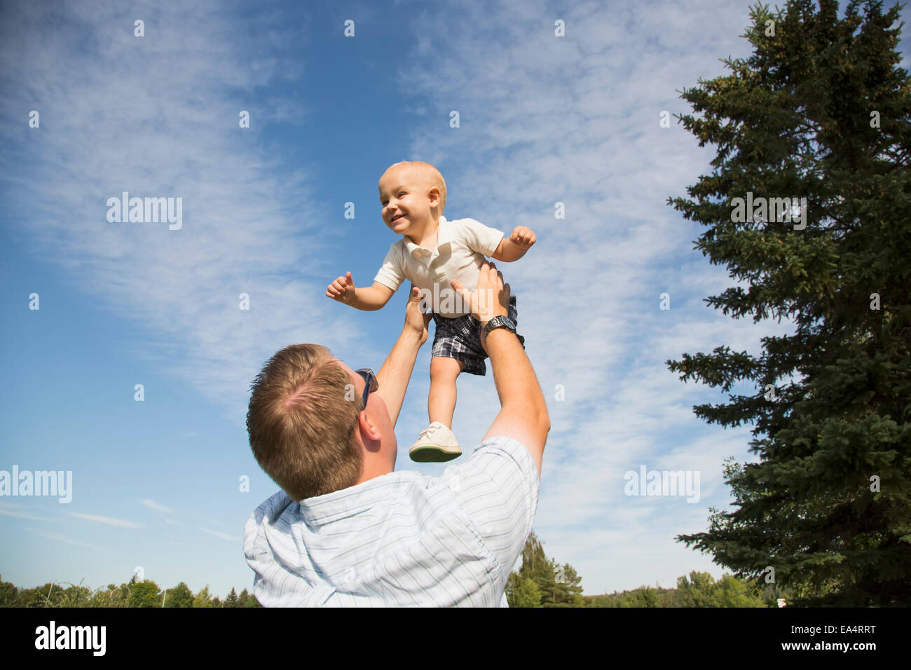 Father throwing toddler son in the air; Edmonton, Alberta, Canada Stock ...