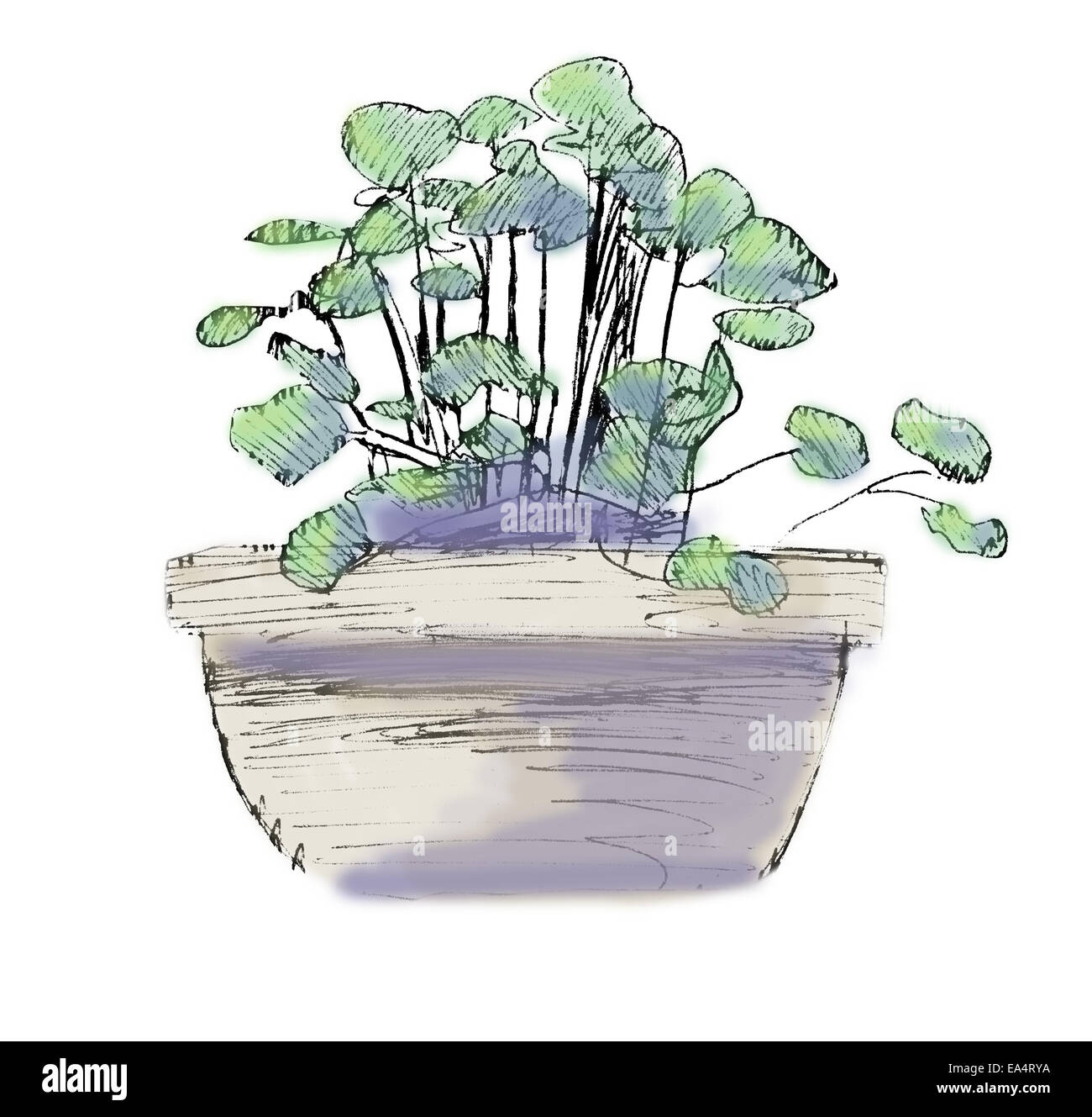 Colorized sketch hi-res stock photography and images - Alamy