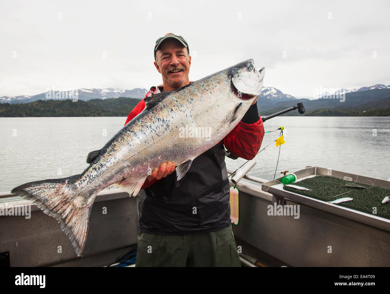 Chinook salmon alaska hi-res stock photography and images - Alamy