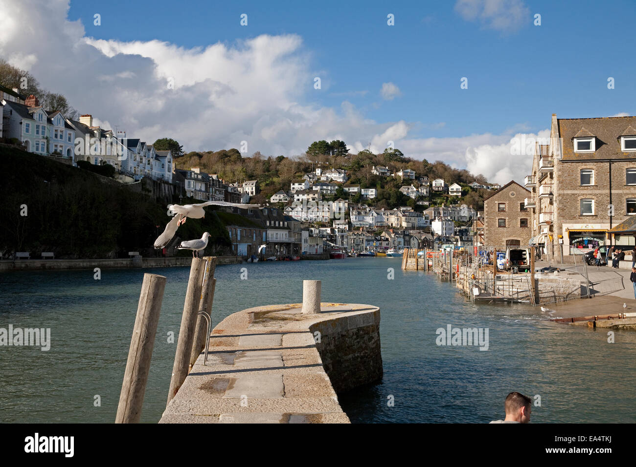 The River Looe separates East and West Looe in Cornwall Stock Photo - Alamy